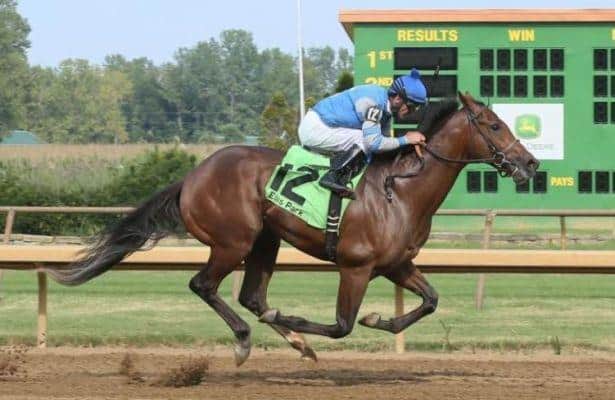 Expert picks: How to bet the Mucho Macho Man Stakes