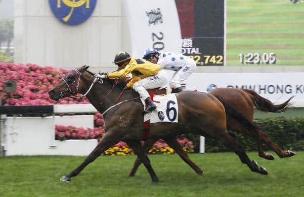 Dashing Fellow drives to the line to win Ambitious Dragon