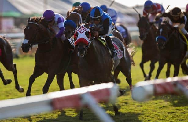 Pedigree Handicapping 101: How to evaluate maiden races