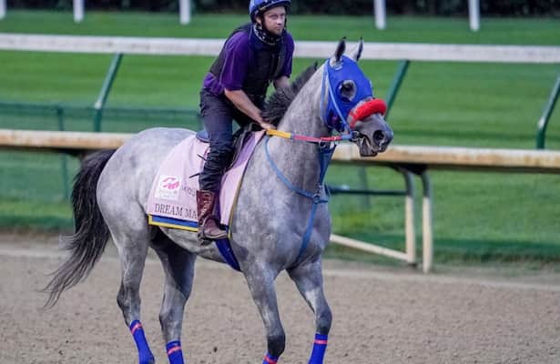 Dream Marie gets another try at Gulfstream's Rampart