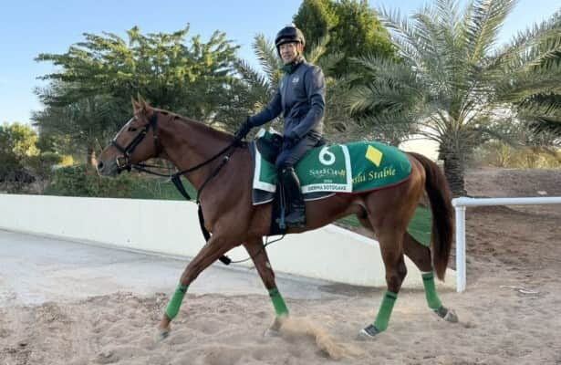 Report: Derma Sotogake hurts eye, still will race in Saudi Cup