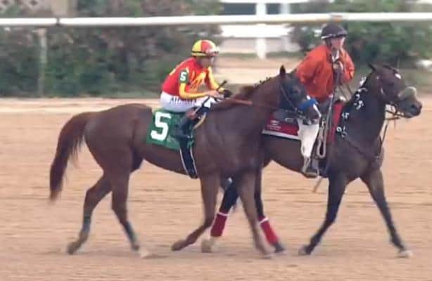 Baffert's Desert Gate overcomes stumble to win Texas Derby