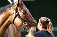 Richard Violette, - Trainer