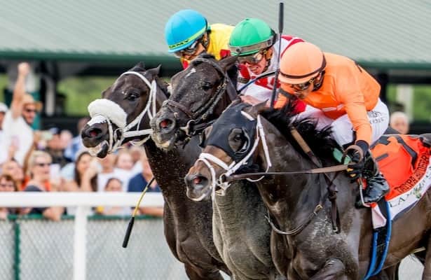 Here are Tampa Bay Downs payoffs after Saturday tote snafu