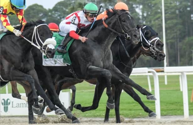 AmTote cites 'unprecedented failure' in wagering outage