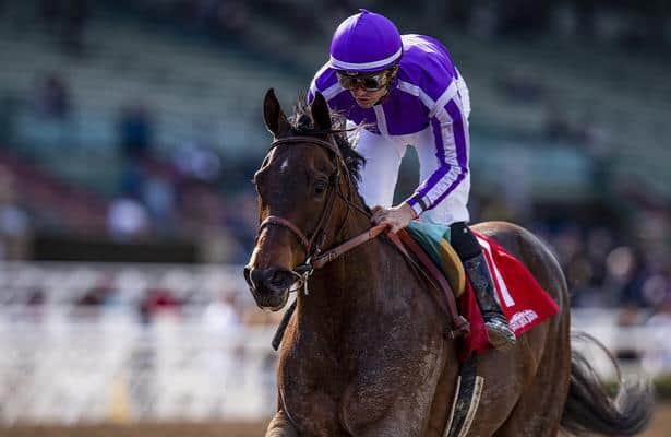 3-year-old pedigrees: Donna Veloce brings class and distance