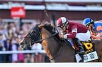 Danny Gargan - Trainer