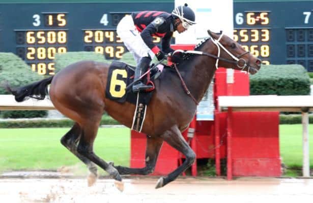 Echo Town 'looks like he's a runner' with stakes debut next