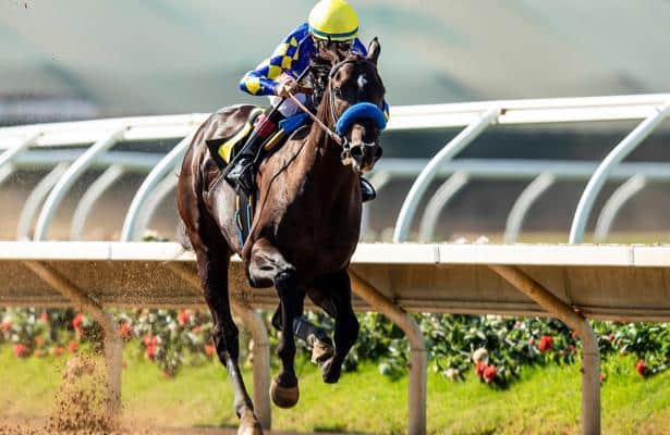 Kentucky Derby 2020 Radar: Eight Rings among 5 to know