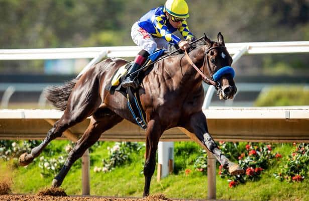 'A big run' expected from Eight Rings in Oaklawn's Bachelor