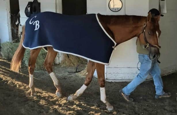 Kentucky Derby: Brown defies history with Emerging Market