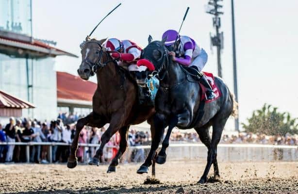 Emerging Market punches Derby ticket in Louisiana Derby