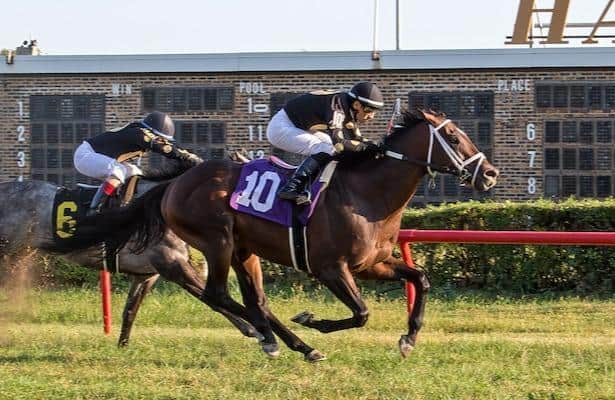 Speed figures: These are last week's fastest stakes winners