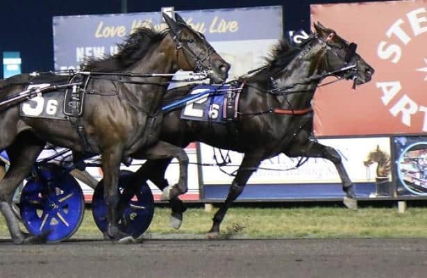10 trotting finalists are set for 100th running of Hambletonian