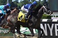 Michael Maker - Trainer