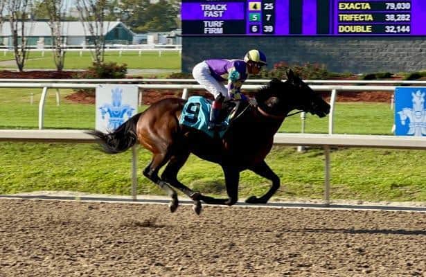 Englishman kick-starts La. Derby week; Pat Day Mile is next