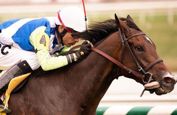 Exaggerated Remains Undefeated for Lael Stables