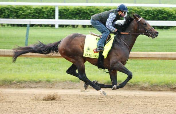Preakness Candidates Exaggerator, Suddenbreakingnews Return to Track