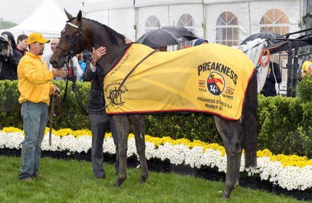 Preakness Stakes 2016 Facts and Figures