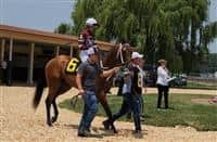 Steven Asmussen - Trainer