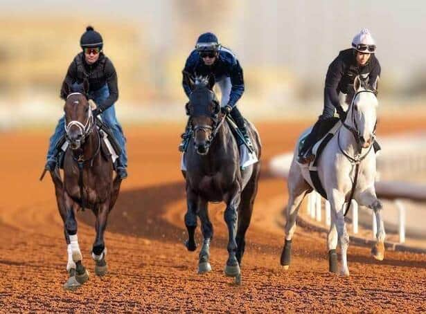 Whitney 2025: Field, posts for $1 million race at Saratoga