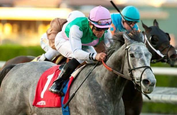Filimbi Powers to Victory in Goldikova
