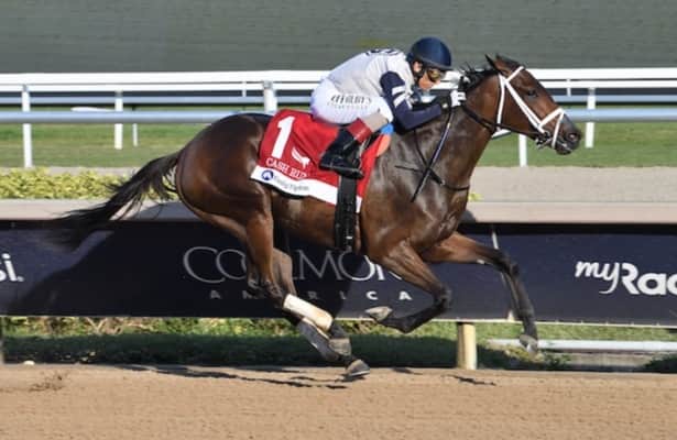 Gulfstream: Five G leads field in Kentucky Oaks qualifier