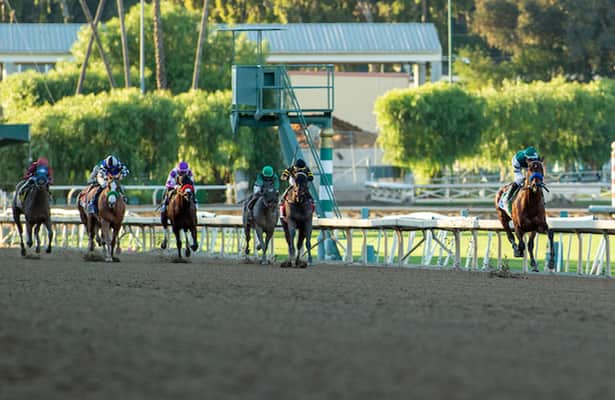 Sunday tab: See Flightline’s latest work, read about 15 more