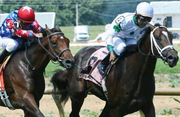 2-year-old Fort Wise Treaty impresses at Ellis Park