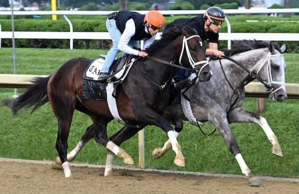 Thursday tab: Forte, Tapit Trice, Nest work for Pletcher