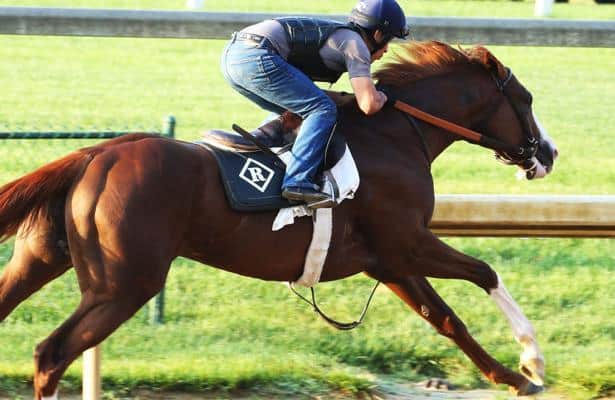 Longshot Free Drop Billy breezes under the radar for Belmont 2018