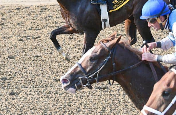 Free Drop Billy ready to step forward in Breeders' Futurity