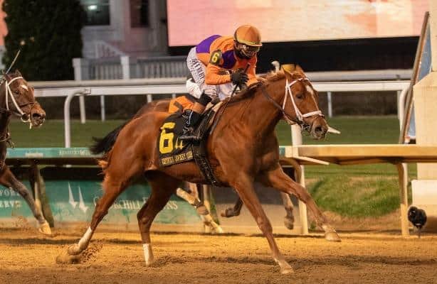 Kentucky Derby pedigree: Further Ado