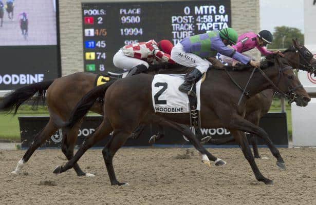 Gamble's Ghost extends Woodbine win streak in Belle Mahone