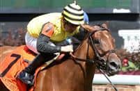 Cherie DeVaux - Trainer