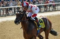 Indian Charlie - Horse