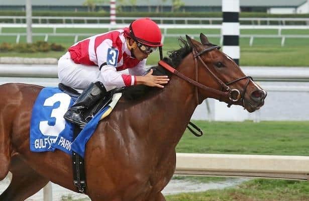 Go Maggie Go steps up big to win the Gulfstream Park Oaks
