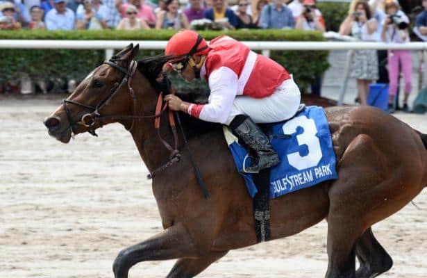 Romans discusses Birdatthewire, Go Maggie Go, and J Boys Echo