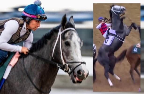 Preakness 2026: Great White’s Derby fall has him trending