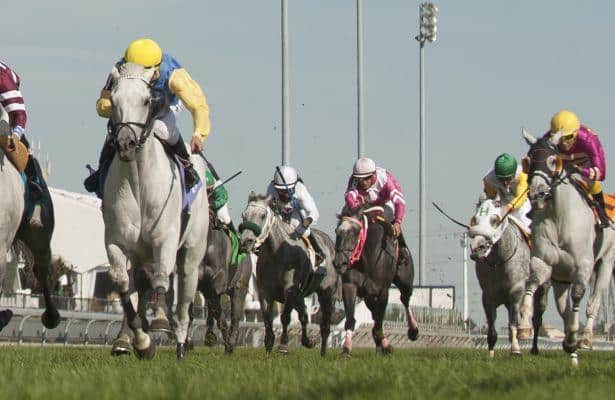 Arthur's Pass makes return appearance in Grey Handicap at Woodbine