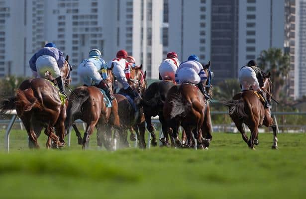Wagering, field size drop in March 2026 from year before