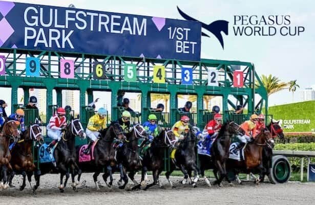 Pegasus guide: Odds, PPs, more for Gulfstream Park feature