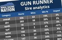 Gun Runner - Horse