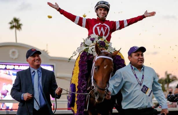 Champion Gun Runner has first mares bred scanned in foal