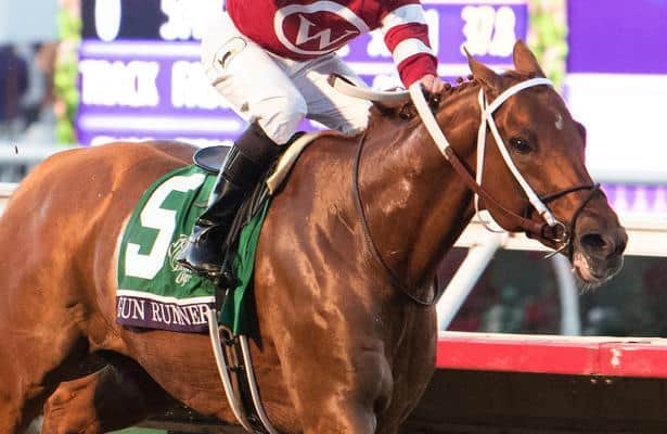 Gun Runner voted the latest HRN Horse of the Week
