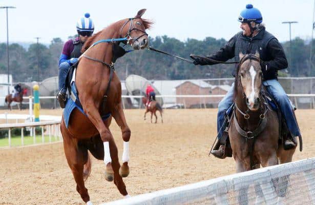 Gun Runner kicks off highly anticipated 4-year-old season in Razorback