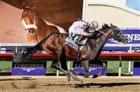 Steven Asmussen - Trainer