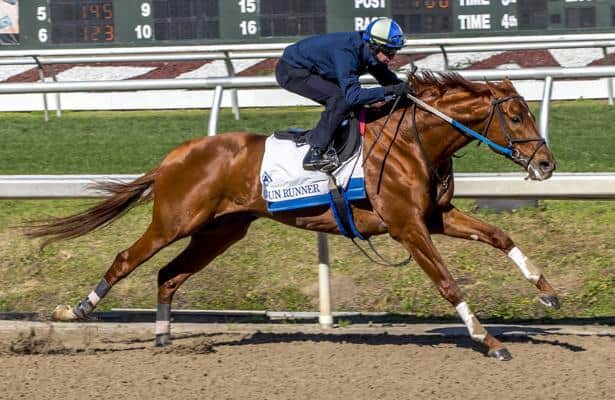 Gun Runner impresses in public Pegasus World Cup workout