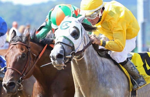 Heartwood's career comes full circle in Oaklawn's King Cotton Stakes