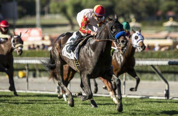 Heck Yeah, Take the One O One set to grapple in Echo Eddie Stakes